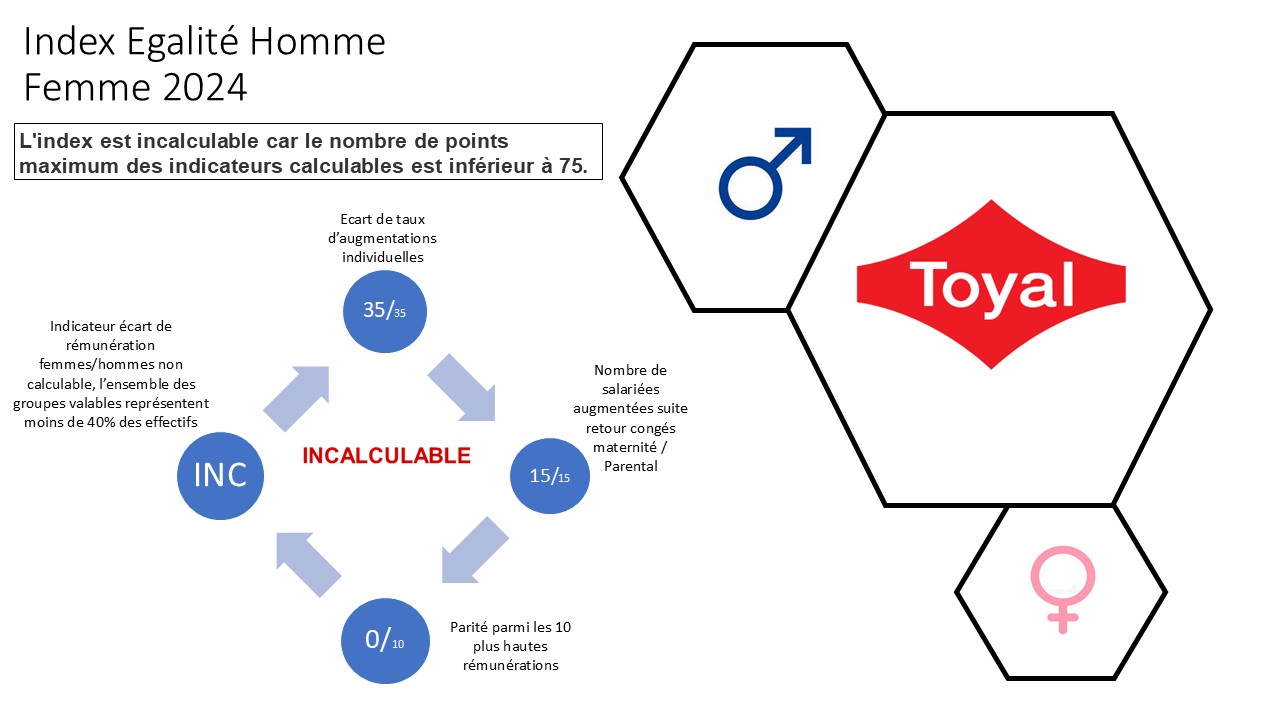 Index égalité Homme / Femme 2024 - Toyal Europe Index égalité Homme / Femme 2024 - Toyal Europe